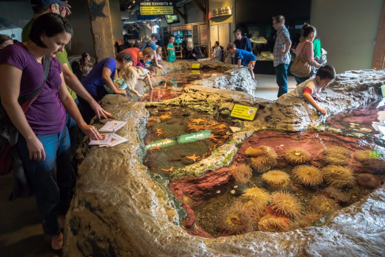 16 Awesome Things To Do In Seattle With Kids - Bon Voyage With Kids ...