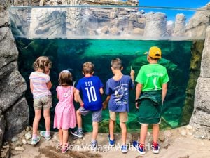 16 Awesome Things To Do In Seattle With Kids - Bon Voyage With Kids ...