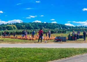 Best of New England in the Fall: Tours, Towns, Festivals & Foliage To ...